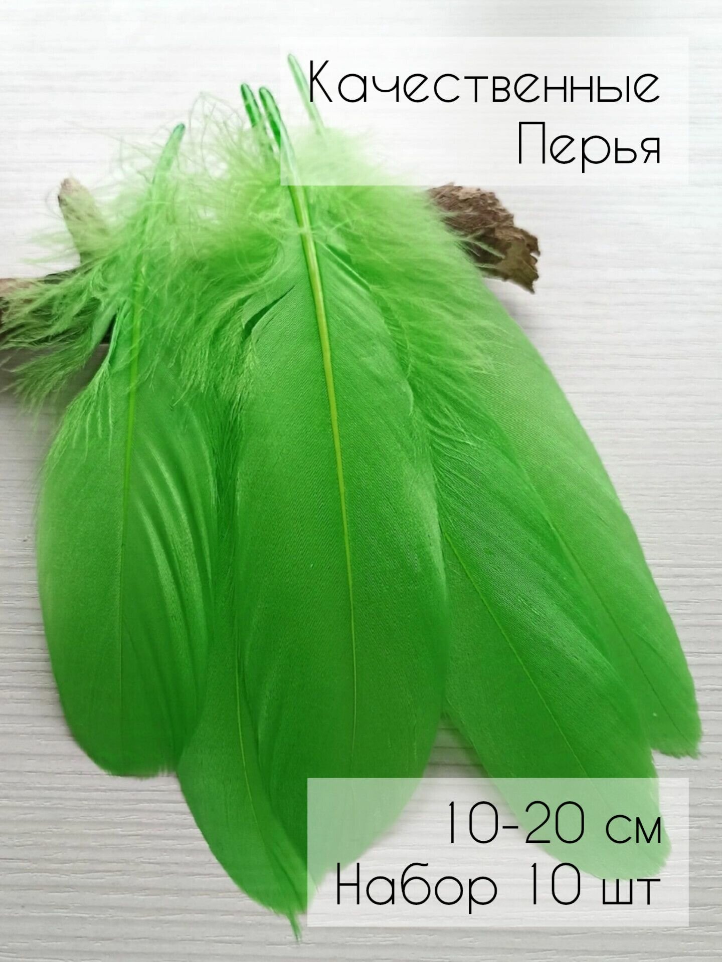 Гусиные перья для творчества и рукоделия. Салатовые. 10 шт. 10-20 см. ПероМарго