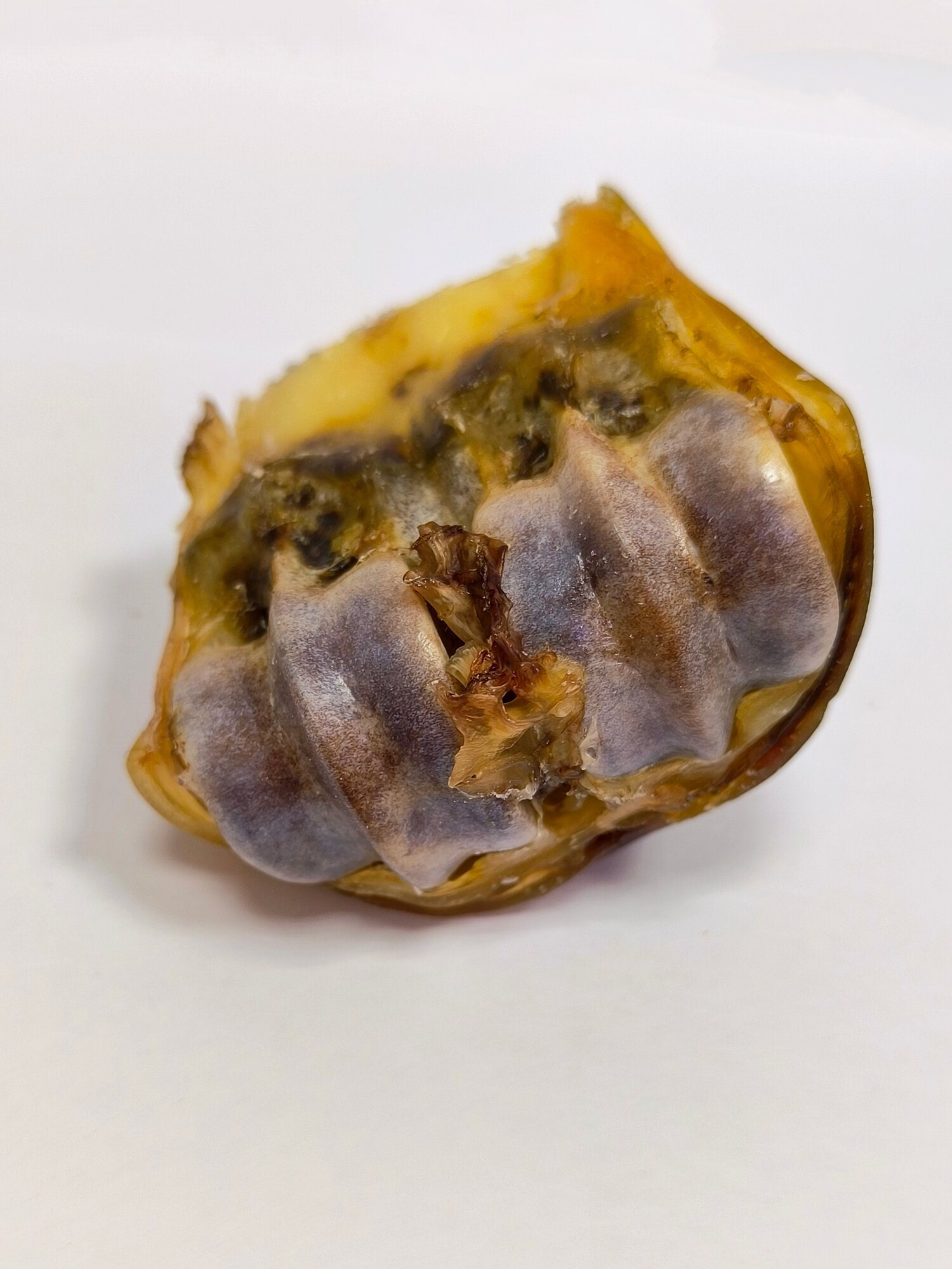 Лакомство для собак Lucky Animals "Мясная колотушка говяжья" 1шт