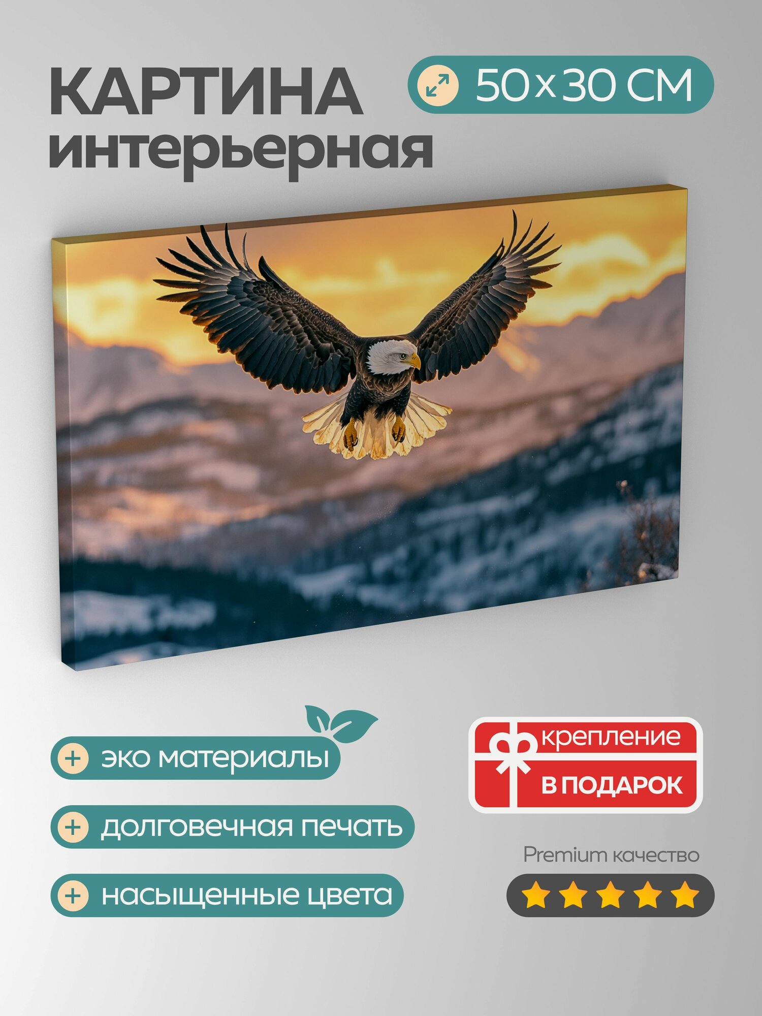 Картина на холсте интерьерная 50х30 см, орлан, полет, крылья, горный воздух, закат, мощь, грация, Nikon, фотография, f