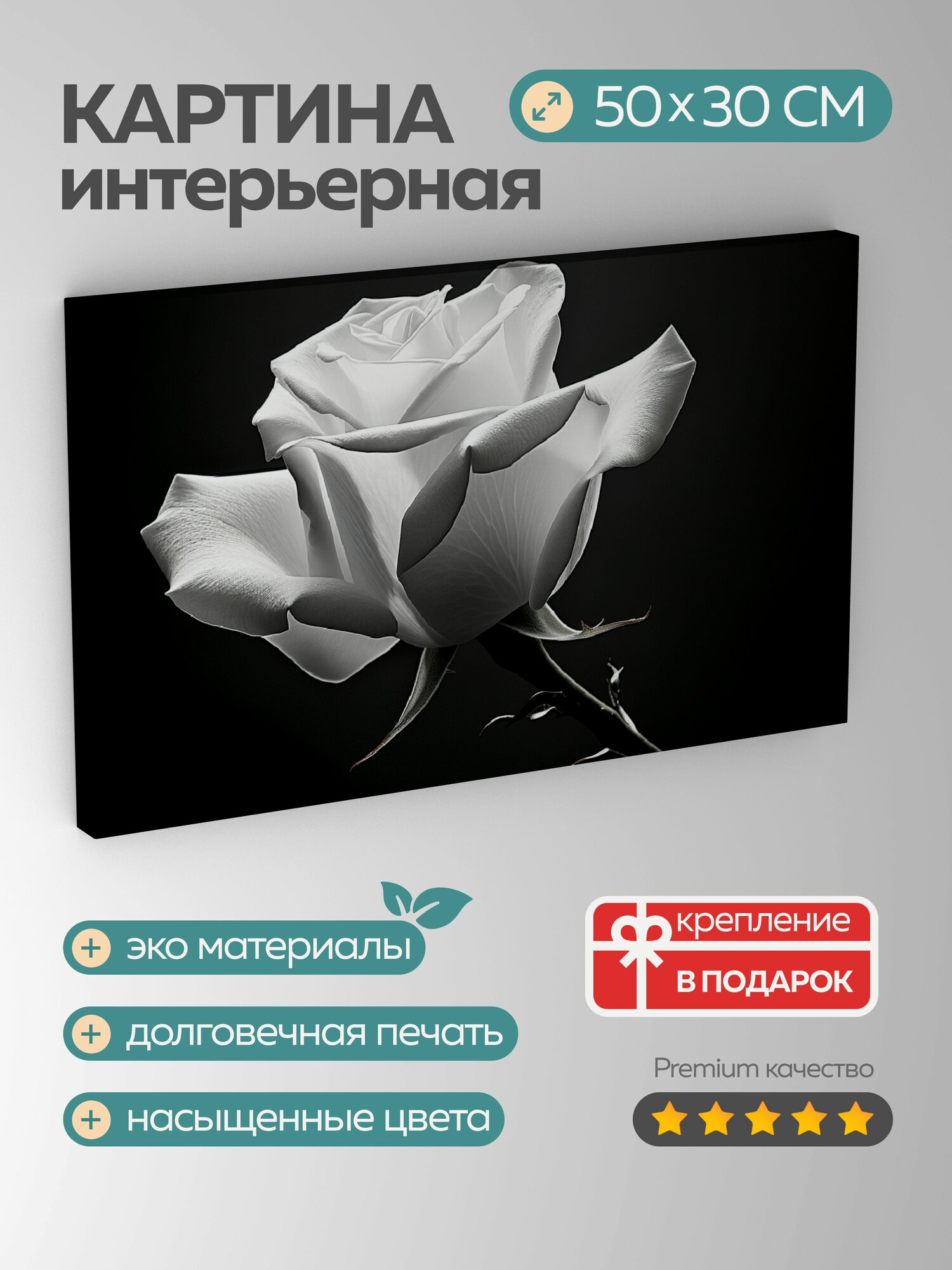 Картина на холсте интерьерная 50х30 см, черно-белая фотография, роза, солнечный свет, текстура лепестков