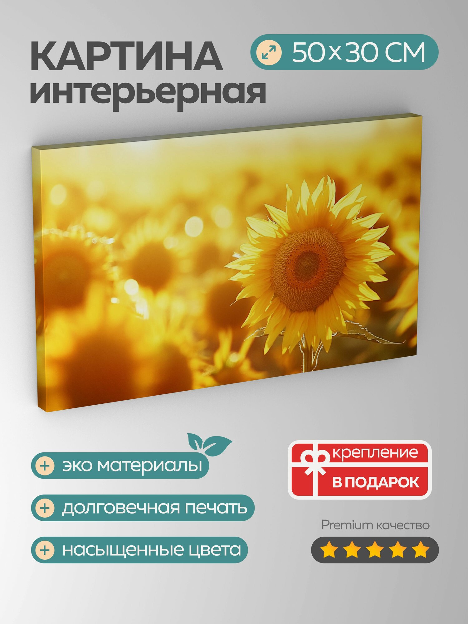 Картина на холсте интерьерная 50х30 см, подсолнухи, золотой час, солнечный свет, яркие цветы, естественная красота