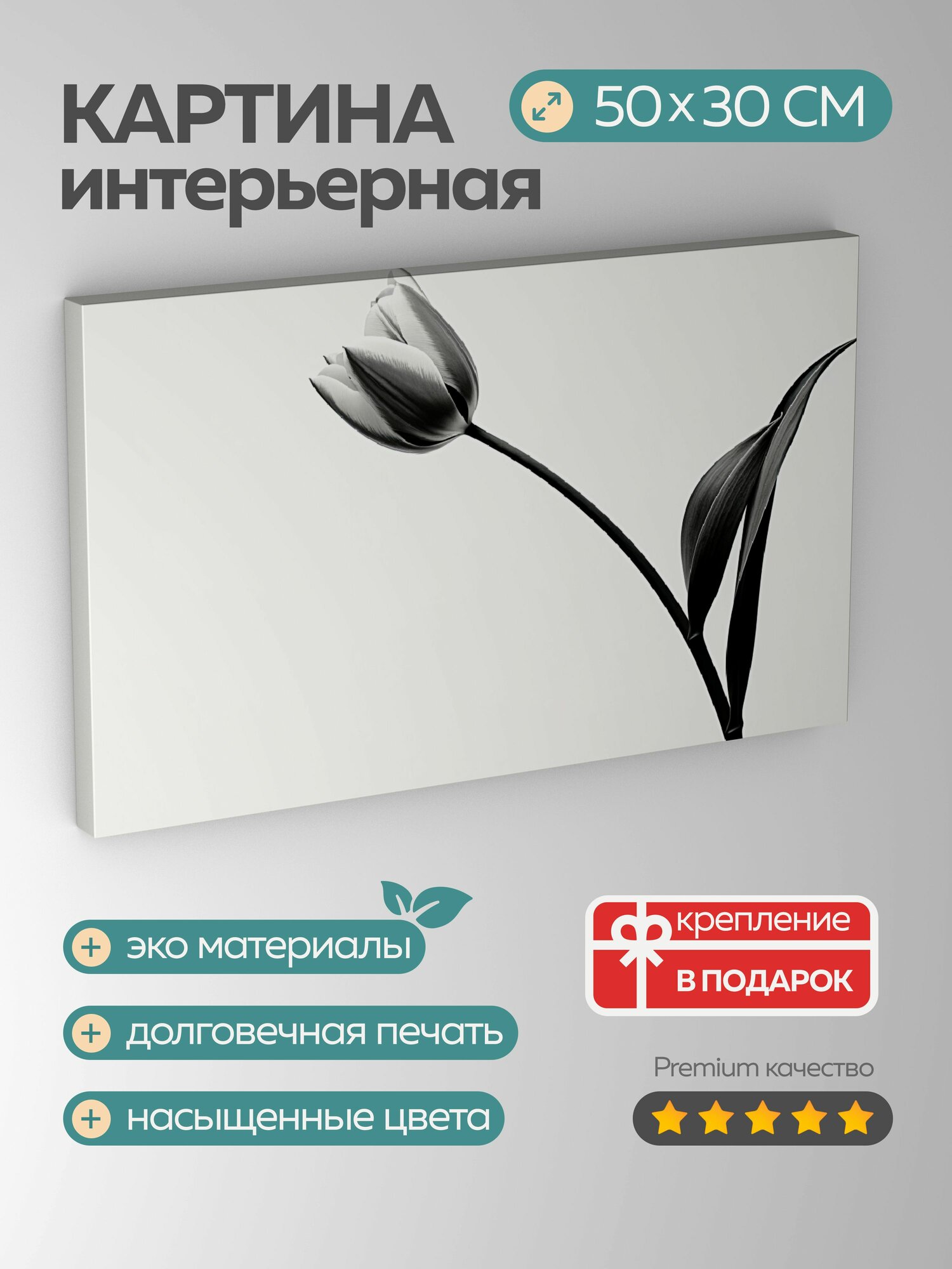 Картина на холсте интерьерная 50х30 см, черно-белая фотография, тюльпан, минимализм, белый фон, простая композиция