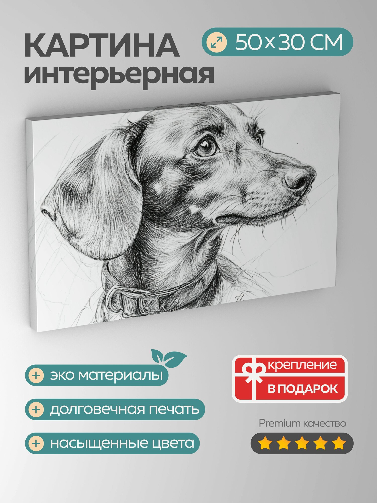 Картина на холсте интерьерная 50х30 см, такса, ошейник, поводок, рисунок, штрихи, линии, реалистичность, глубина