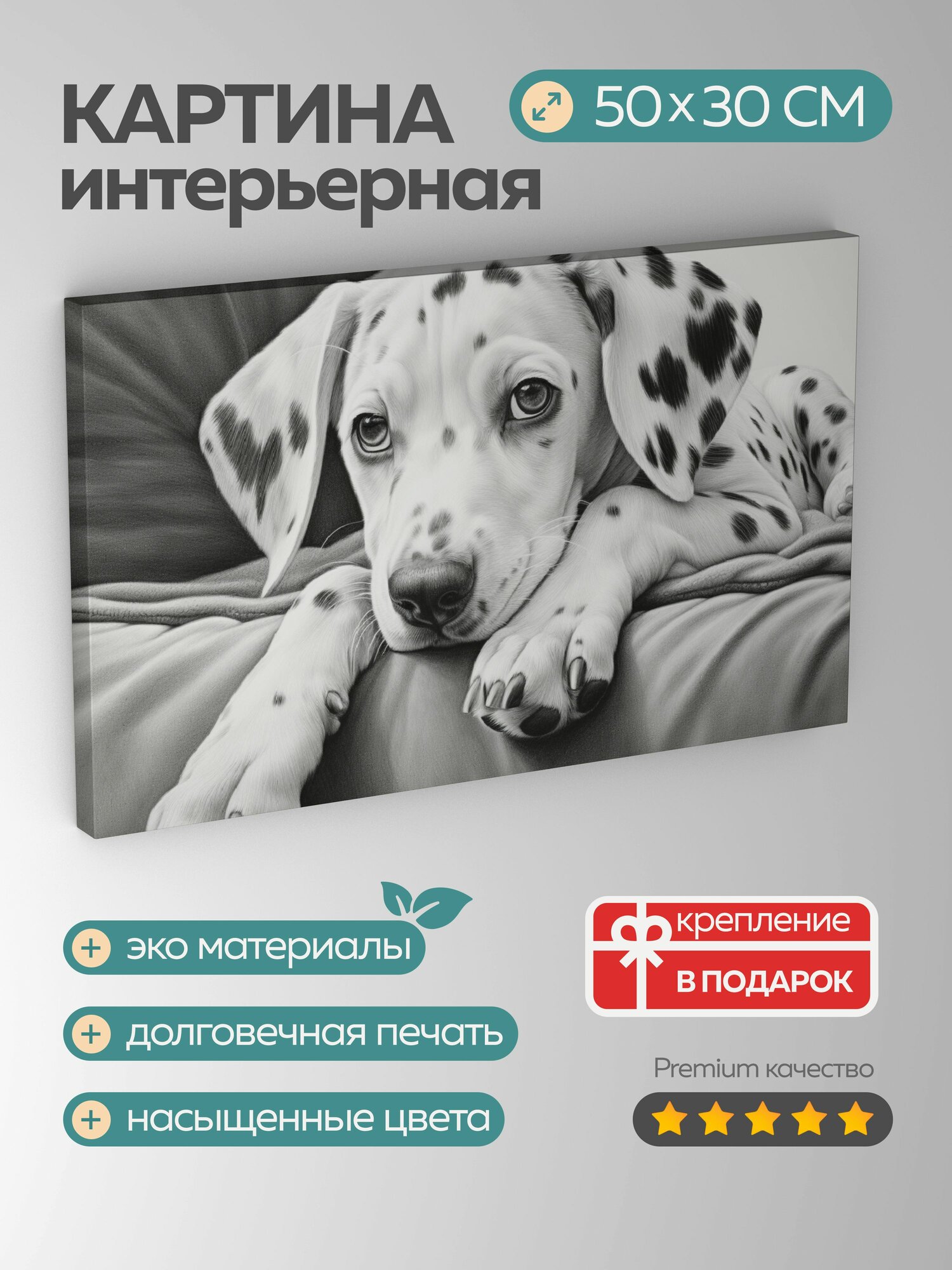 Картина на холсте интерьерная 50х30 см, рисунок, графит, далматинец, калачиком, уютный уголок, мягкие оттенки