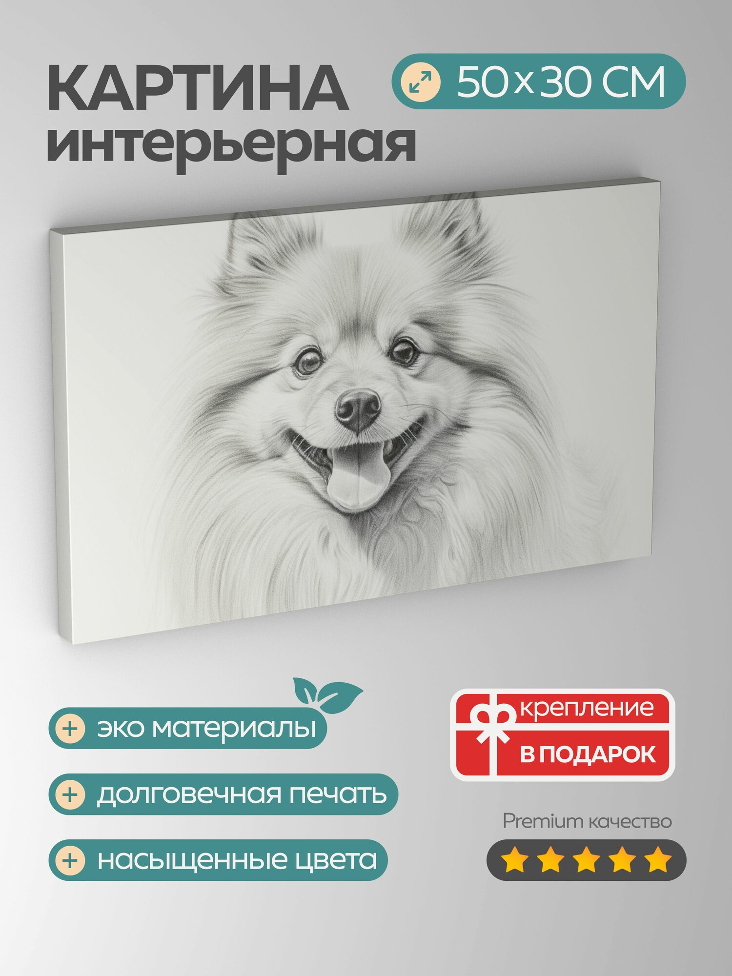 Картина на холсте интерьерная 50х30 см, графитовый набросок, собака, порода, шпиц, черты, нежная натура, очаровательный