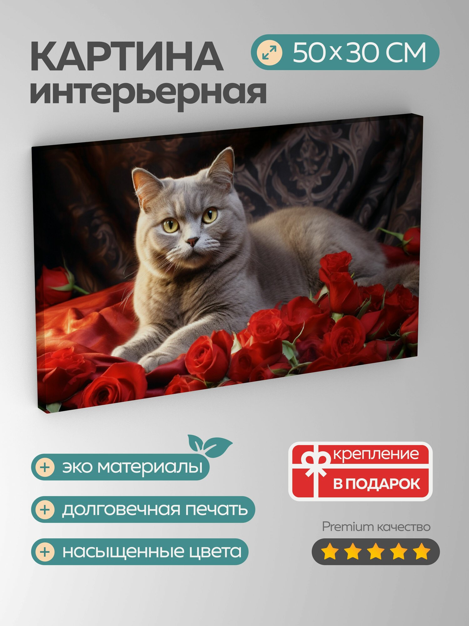 Картина на холсте интерьерная 50х30 см, картина, маслом, британская короткошерстна, плюшевая шерсть, круглая мордочка