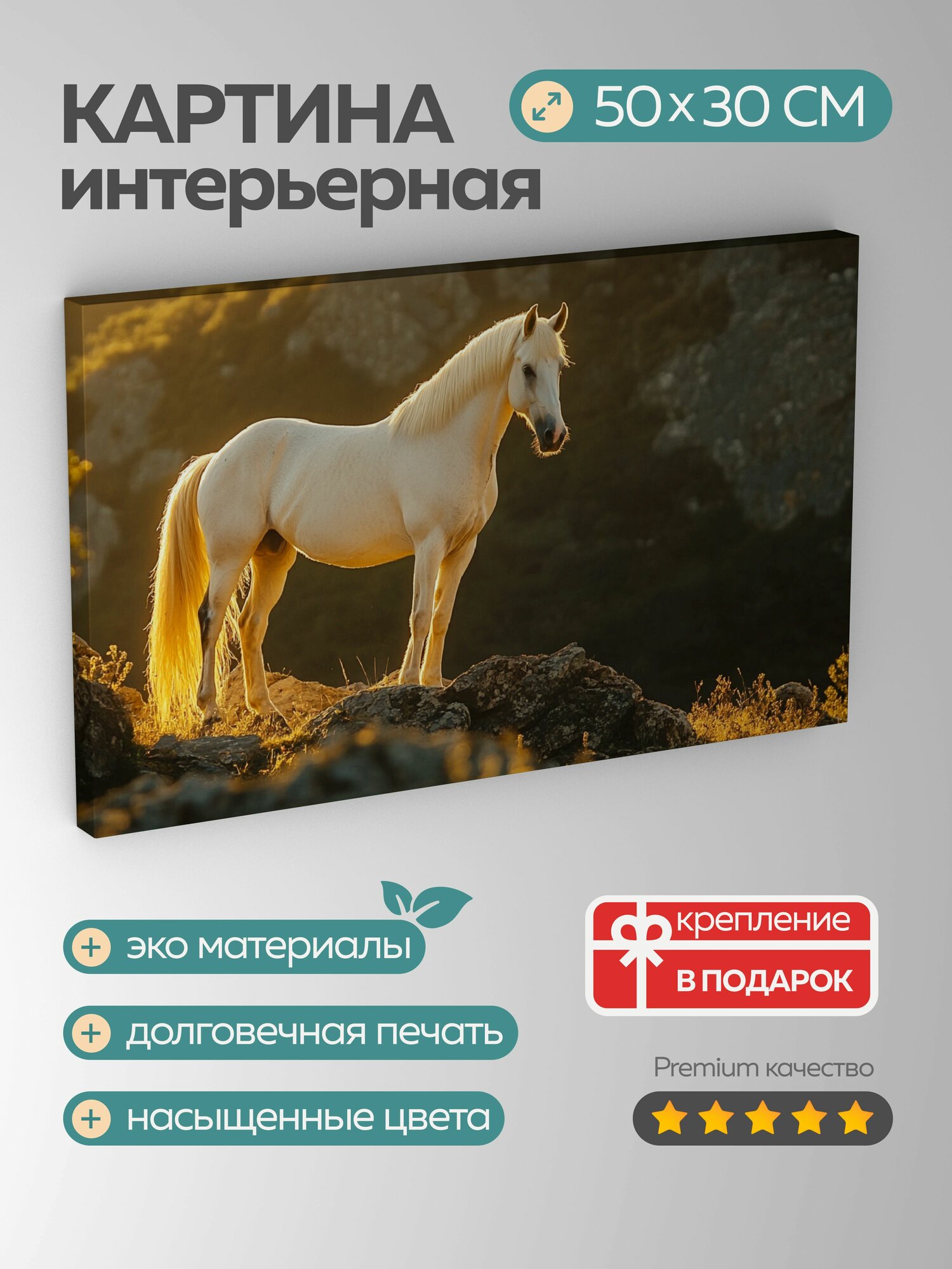 Картина на холсте интерьерная 50х30 см, лошадь, скалистый утес, свет, красота, грация, композиция, освещение, величие