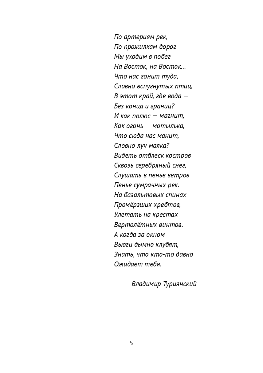 Полярная чайка — фото 1