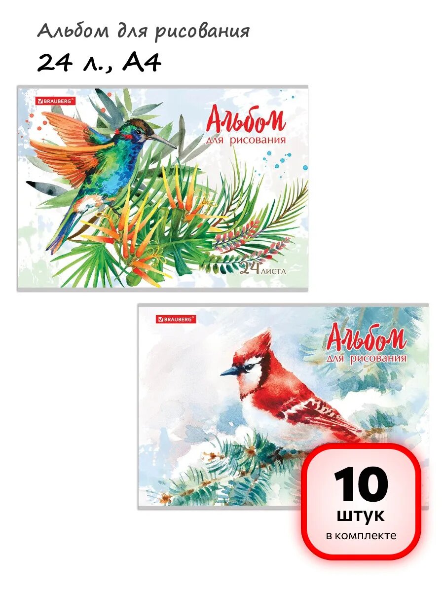 (10 штук) - Альбом для рисования, 24л, А4, арт. 105609