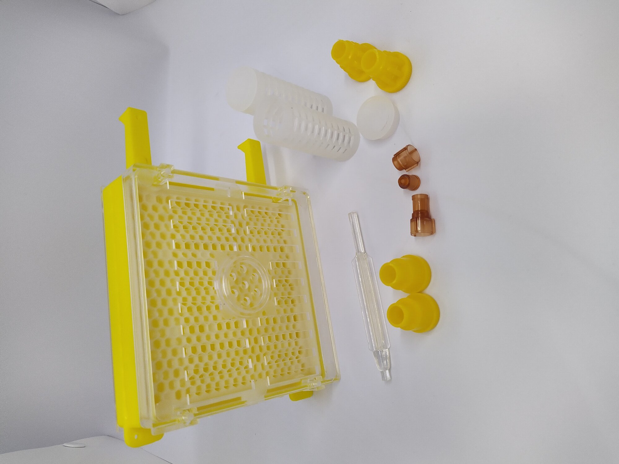 Джентерский сот