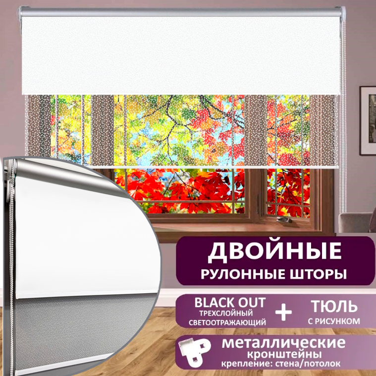 Двойная рулонная штора Мастер Плюс Креп Black Out, белый + Тюль Рейн, белый, 120 х 210 см