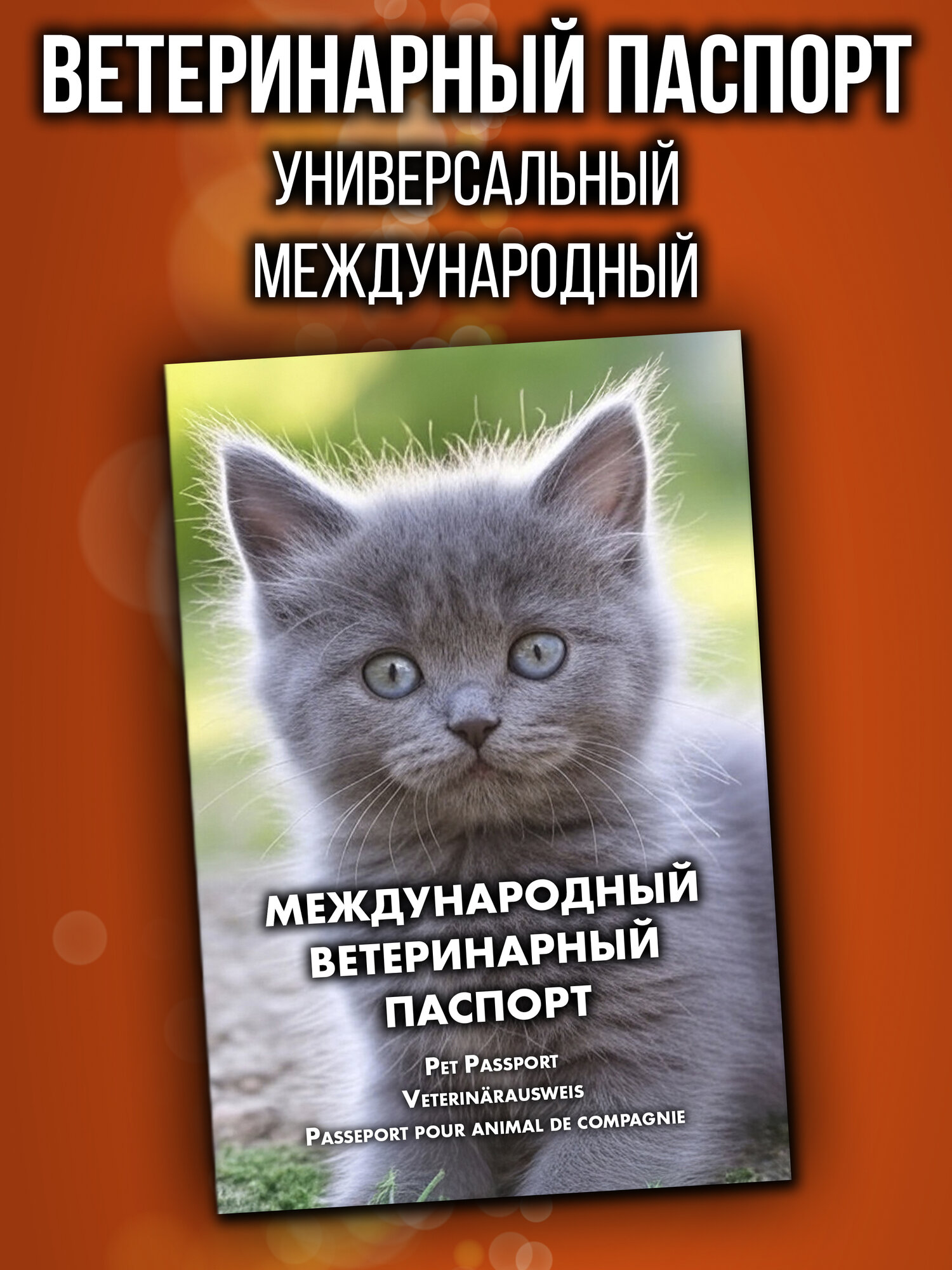 Ветеринарный паспорт для кошек и собак, международный