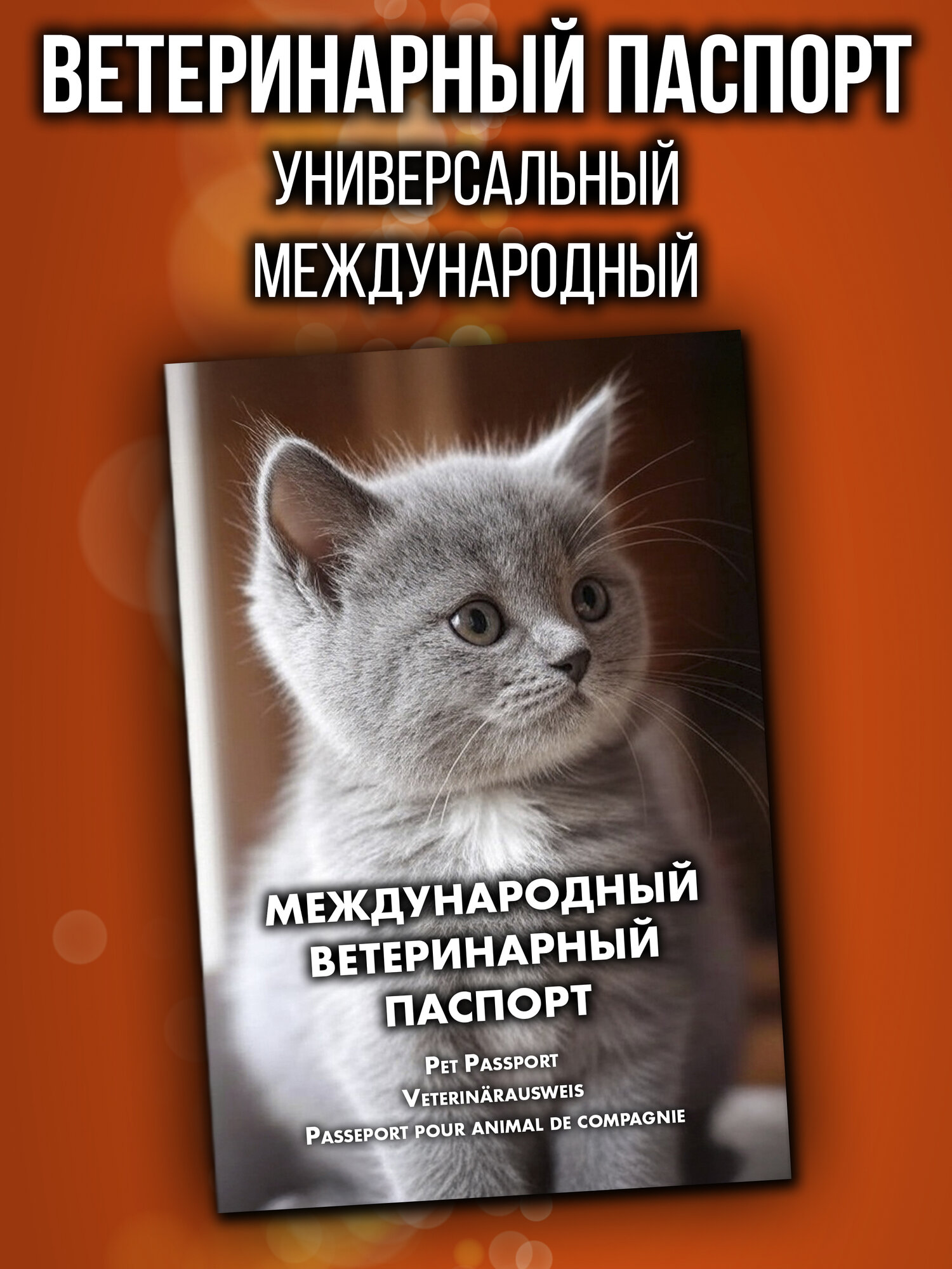 Ветеринарный паспорт для кошек и собак, международный