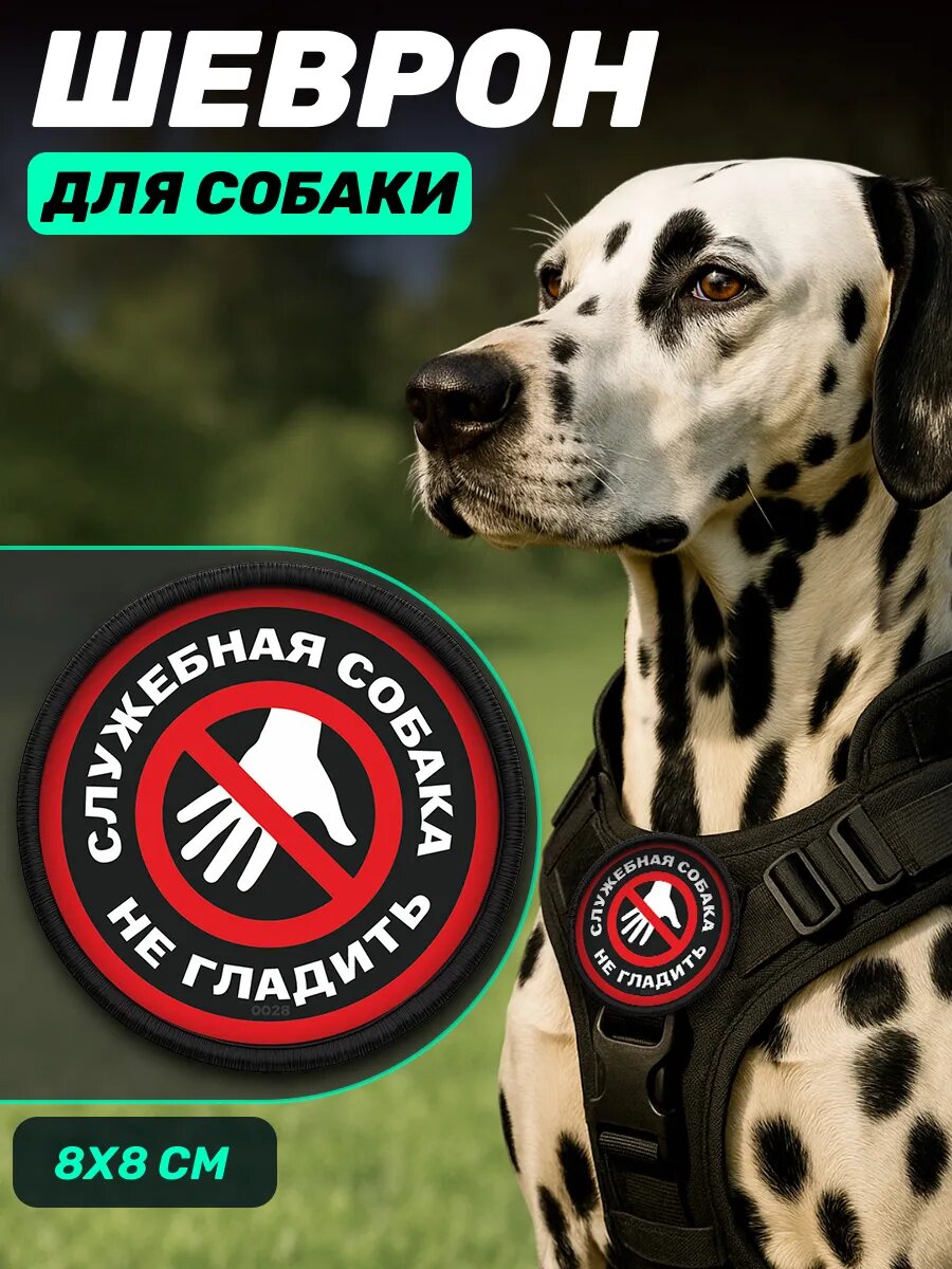 Шеврон на шлейку для собак Служебная собака не гладить