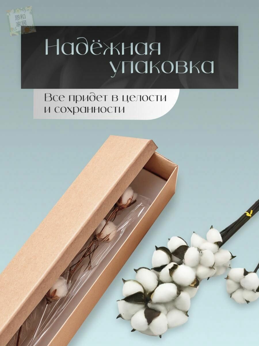 Сухоцветы — фото 1