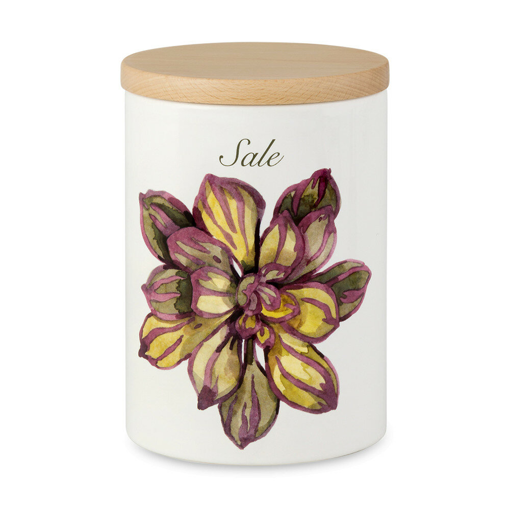 Банка для хранения соли, 800 мл, керамика, белый, декор 5010/1-CAT Cactus