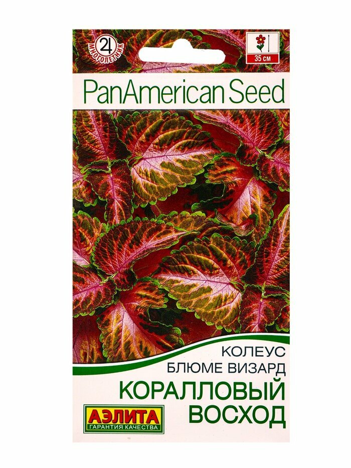 Семена цветов Колеус блюме Коралловый восход Мн Спецсерия PanAmerican, Ц/П,5 шт. 10945507
