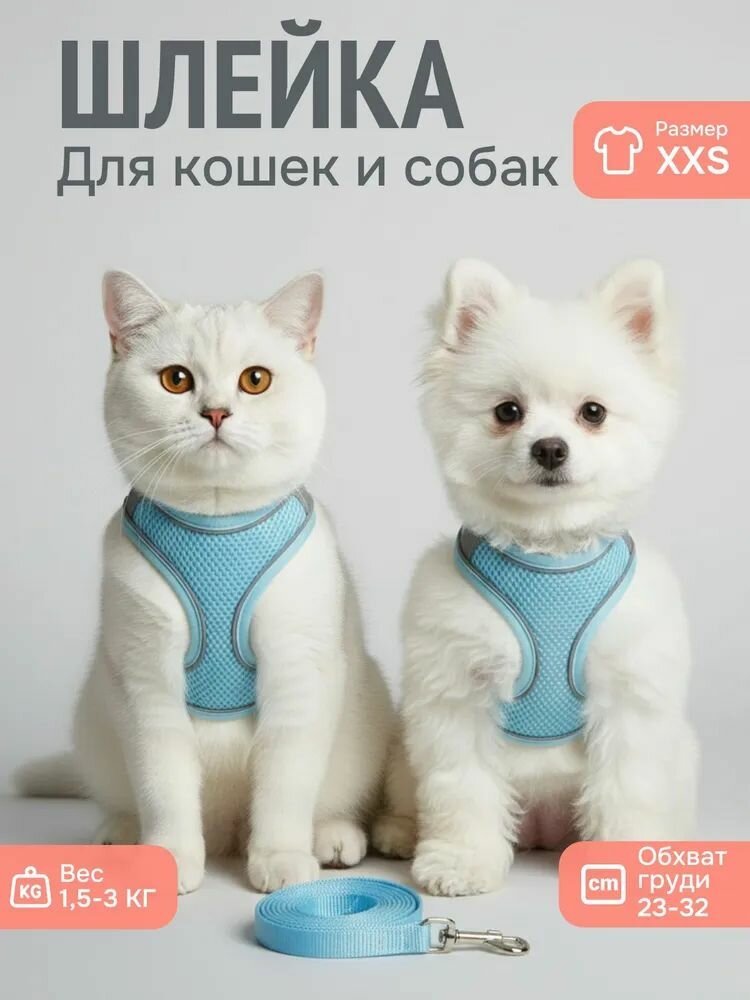Мягкая шлейка с поводком для котят, мелких собак и щенков, анатомическая, голубая, размер XXS, 23 32 см