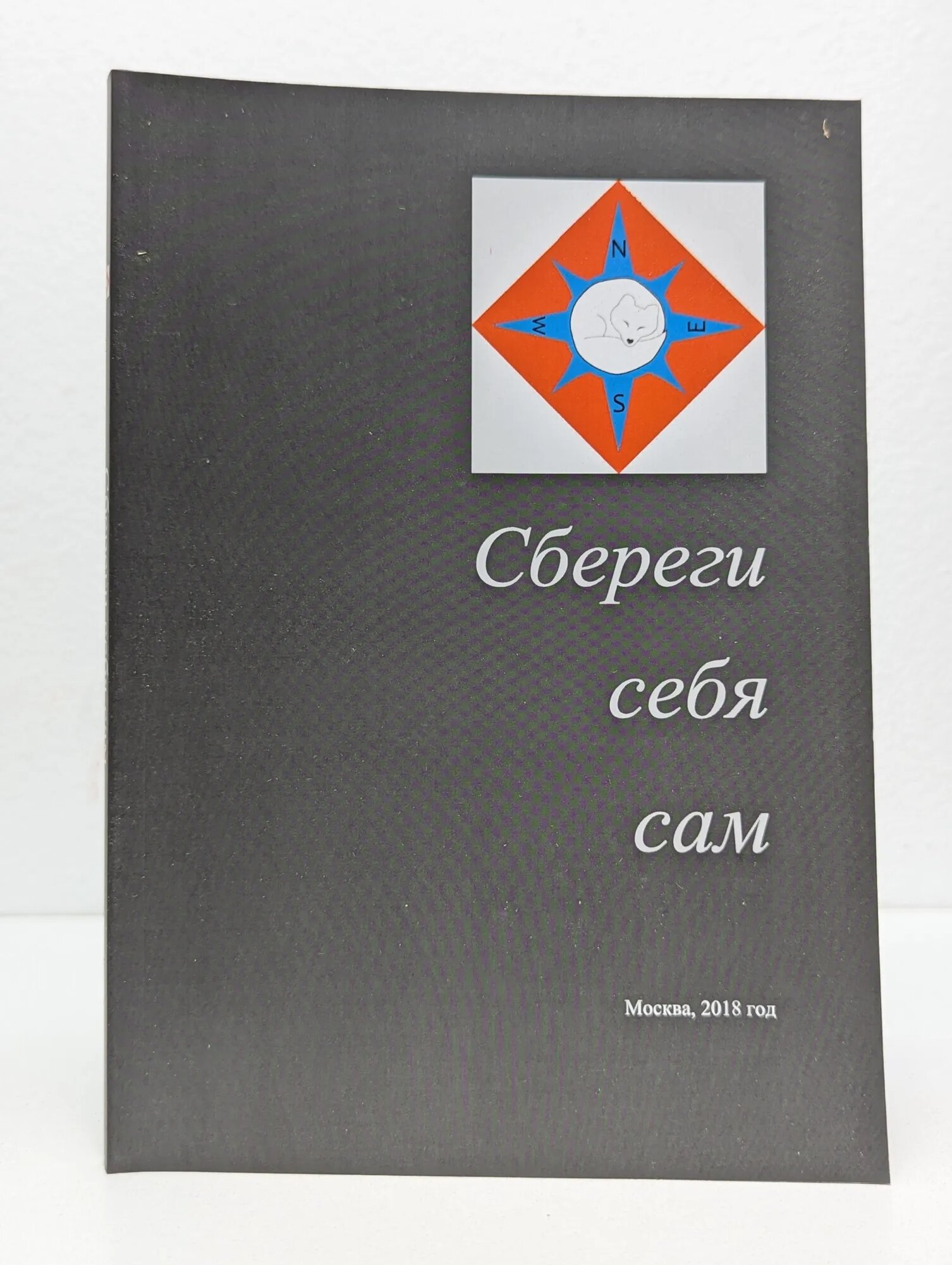 Сбереги себя сам Холмогоров Александр Васильевич, Силенко Виктория Владимировна, Илюхин Павел Николаевич, Елисеенко Александр Сергеевич 2018