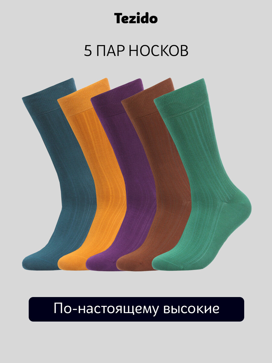 Носки Tezido Базовая, комплект, 5 пар, размер 41-46, зеленый, фиолетовый, коричневый, горчичный