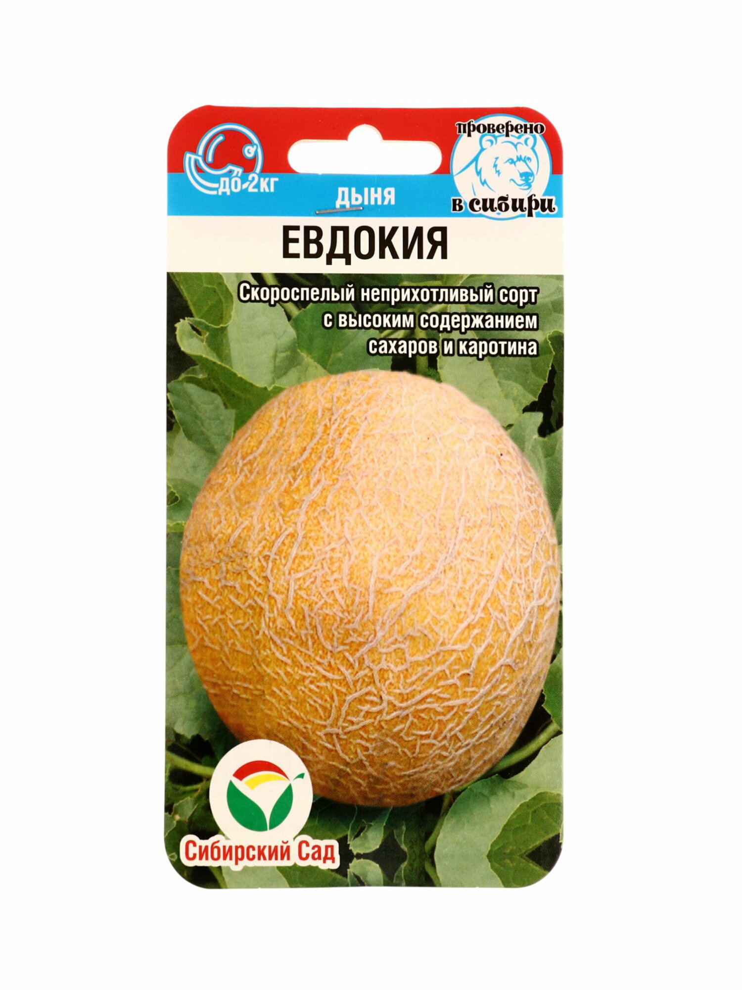 Семена Дыня "Евдокия", 7 шт, цвет: жёлтый, посев на рассаду: апрель