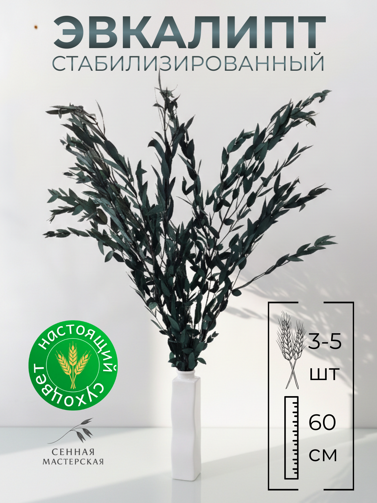 Эвкалипт стабилизированный букет, Парвифолия синий, стабилизированные растения для декора. Сухоцветы для декора. 60 см