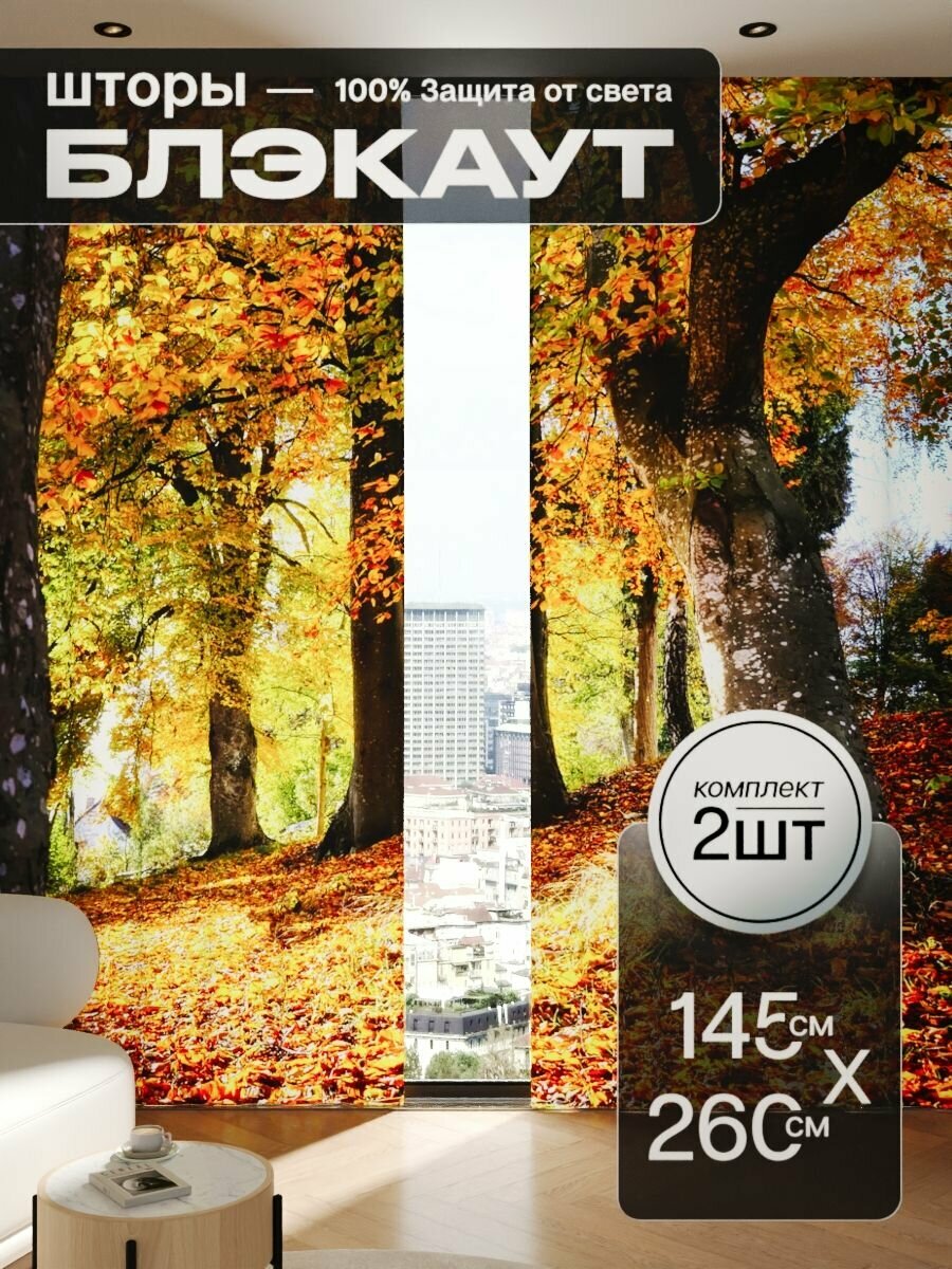 Шторы блэкаут 145x260 см 2 шт на окна плотные комплект