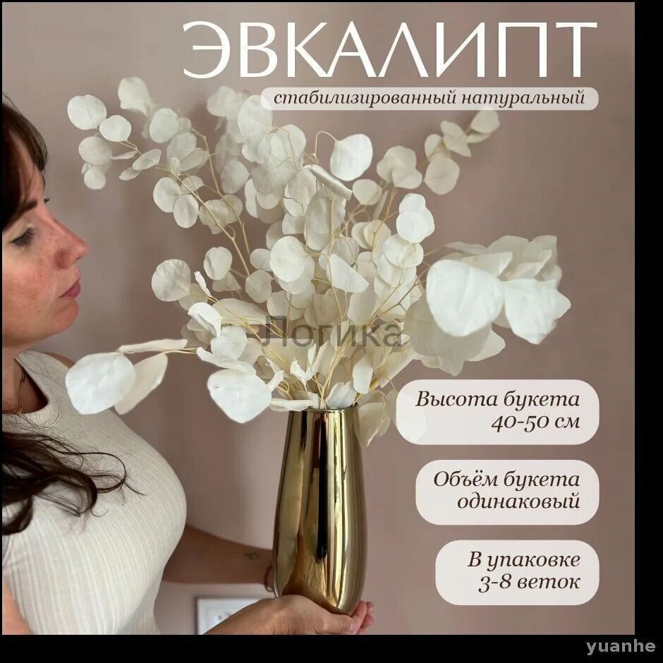 Сухоцветы Эвкалипт, 52 см, 200 гр, 3 шт