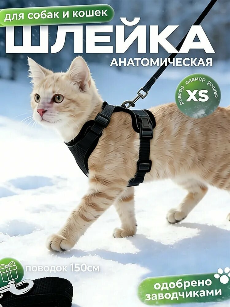 Шлейка для кошек и собак мелких пород, анатомическая, с поводком