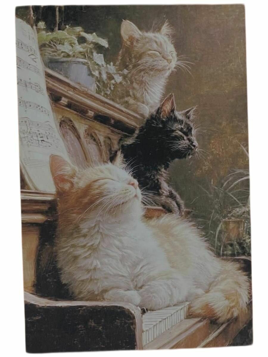 Открытка милая с котиками