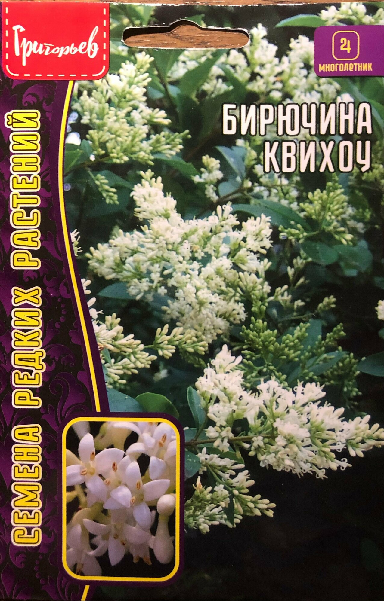 Семена Бирючины Квихоу (10 семян)