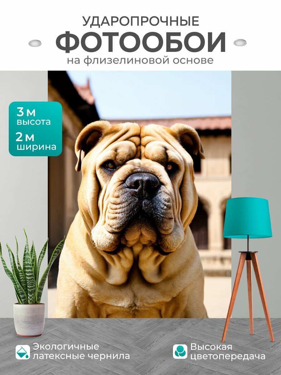 Фотообои моющиеся ударопрочные "Собака шарпей, проявляющая свою неповторимую мордочку, на фоне старинного здания" 200x300 см. флизелиновые на стену