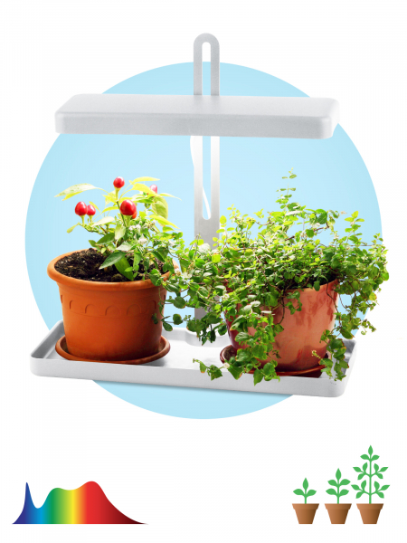 Светодиодная лампа для растений ЭРА FITO-20W-QLED-W, 20Вт полный спектр, Б0039034 / фитосветильник для рассады