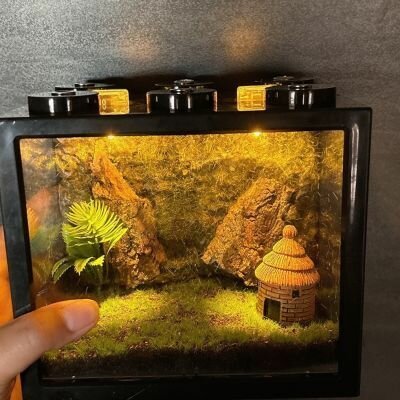 Экологическая коробка/поющие насекомые Экологическая коробка/подходит для всех видов поющих насекомых