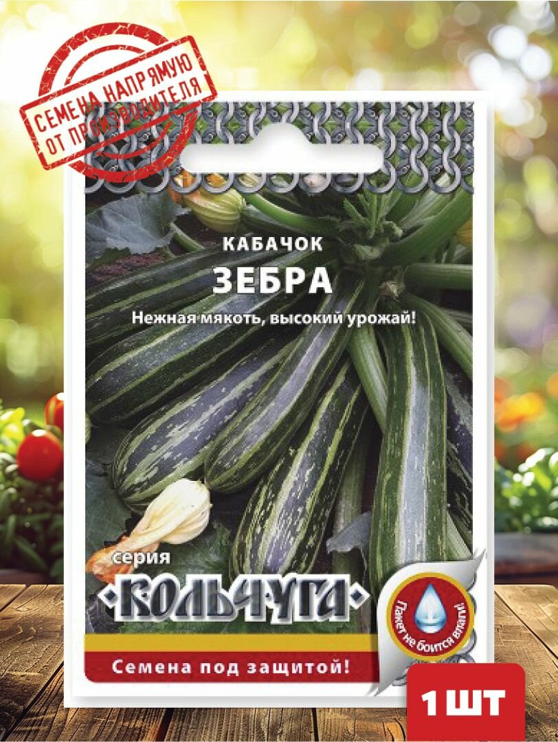 Семена Кабачок цуккини Зебра "Кольчуга NEW"