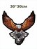 Нашивка STORM CLOUDS EAGLE
