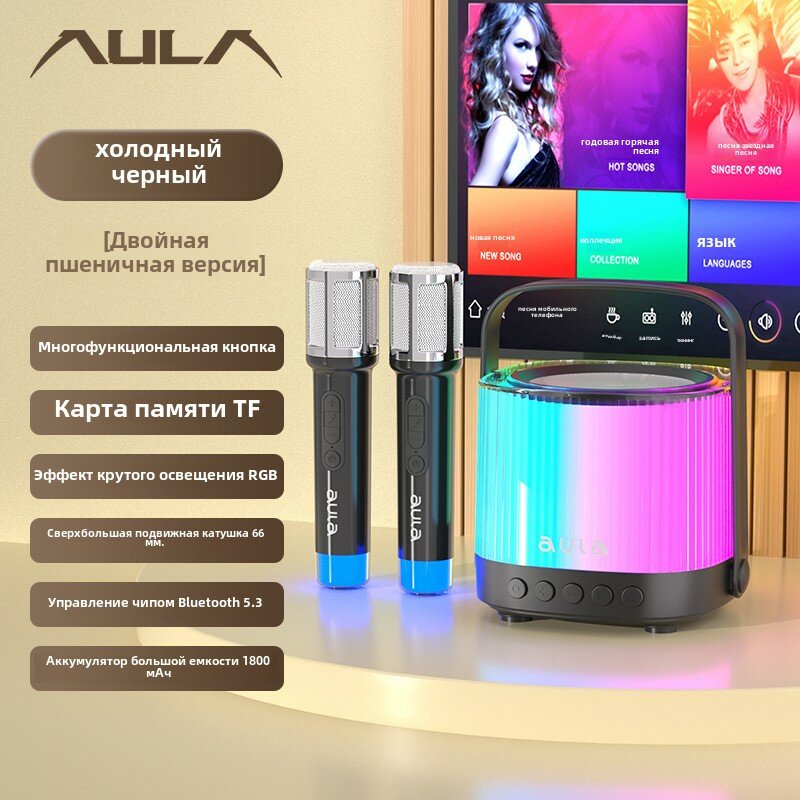 Музыкальный центр с караоке и Bluetooth 5.3, 2 микрофона, RGB подсветка, портативный для дома и вечеринок