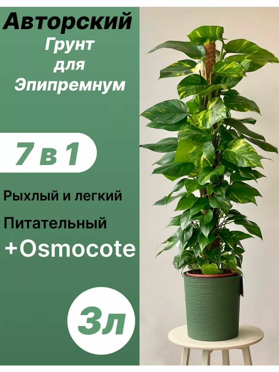 Грунт для Эпипремнум 3л готовый
