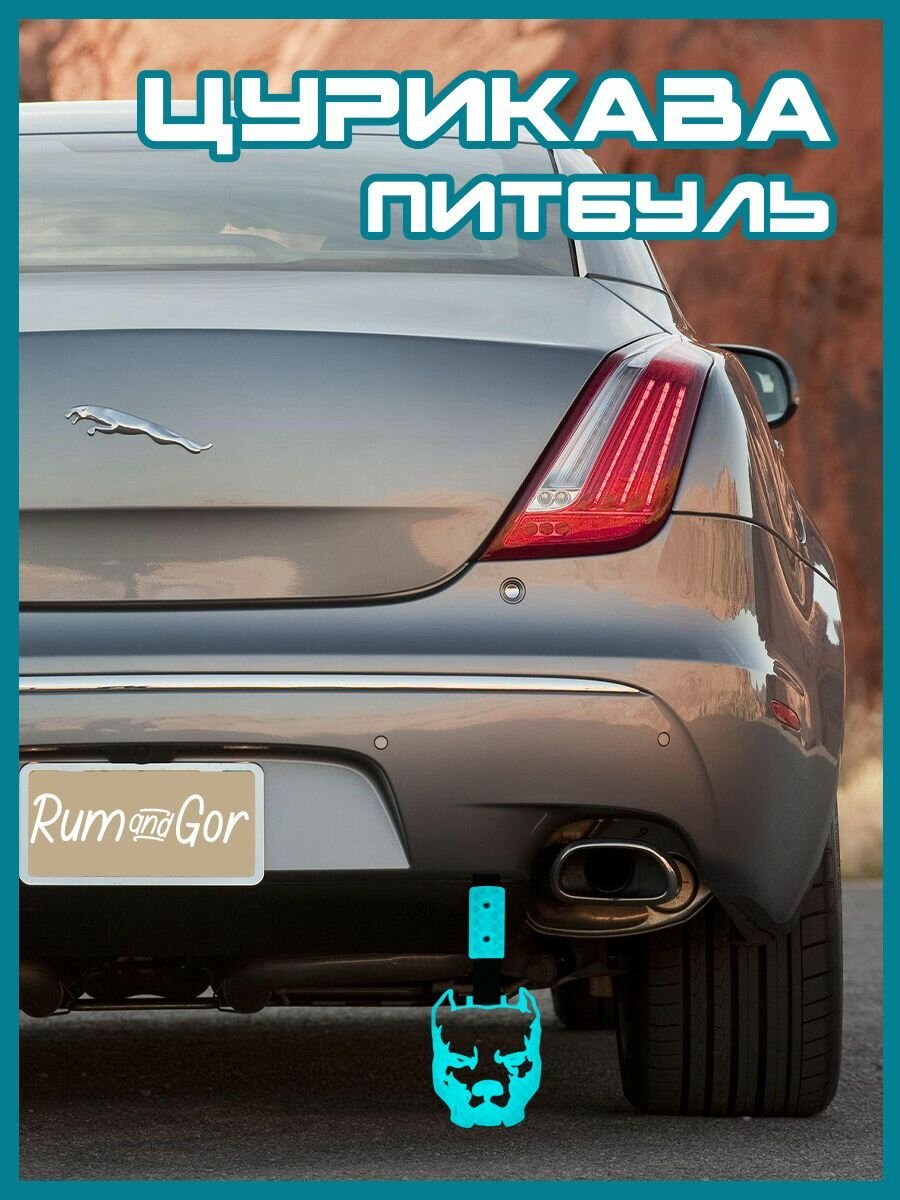 Цурикава Питбуль светящаяся в темноте