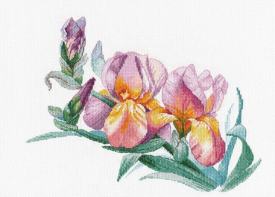 Овен 1644 Золотые ирисы