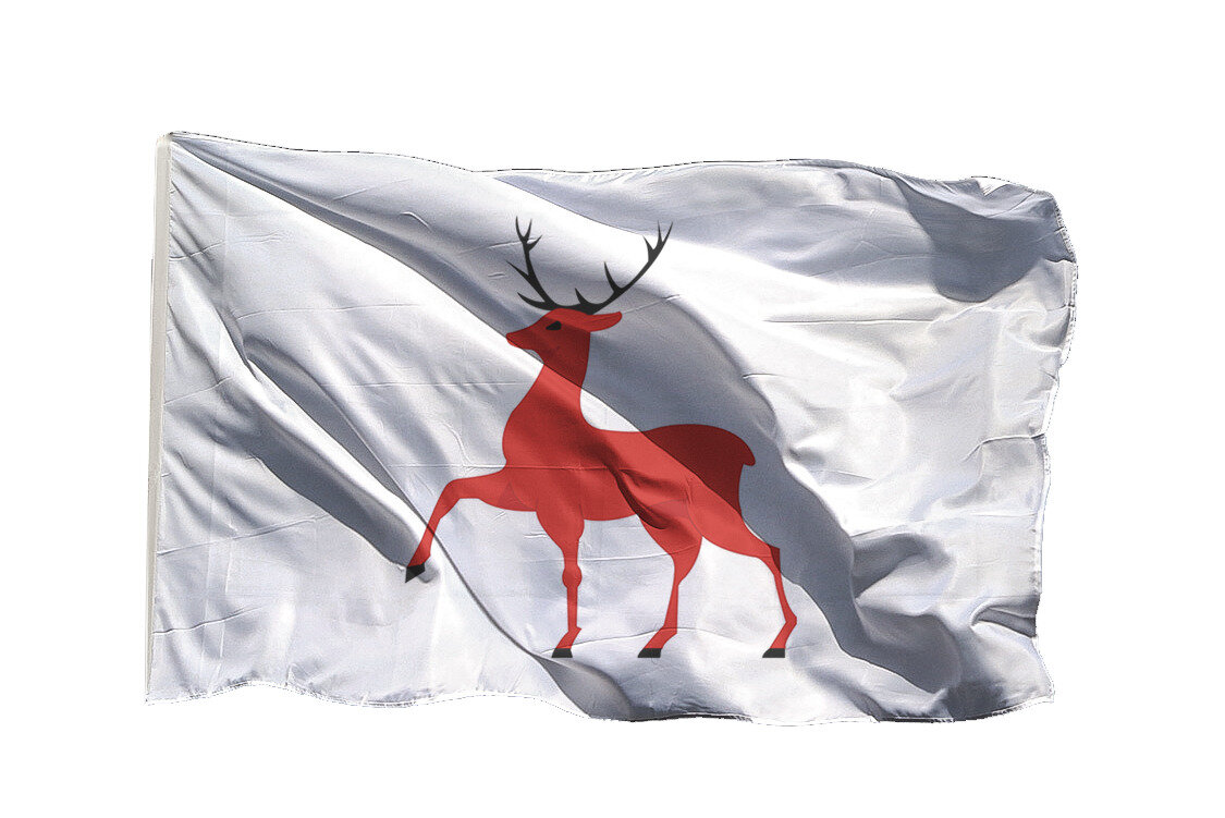 Флаг Нижнего Новгорода на шёлке, 70х105 см для ручного древка