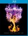 Deep Purple Phoenix Rising (Blu-ray диск)