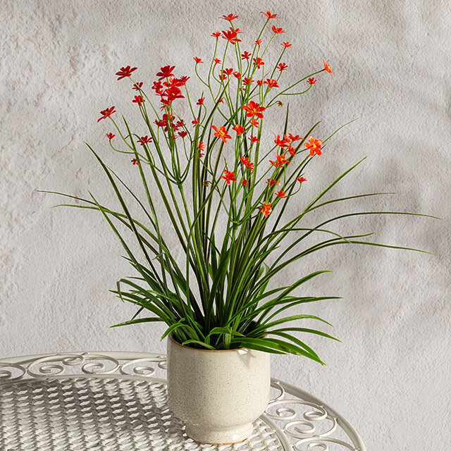 Искусственный цветок в горшке Таллинум 38 см красный, Summer Deco, 5010057