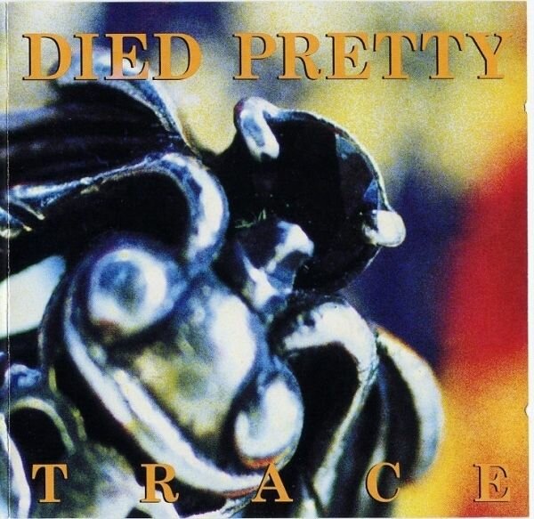 Диск Died Pretty: Trace (1 CD) — фото 1