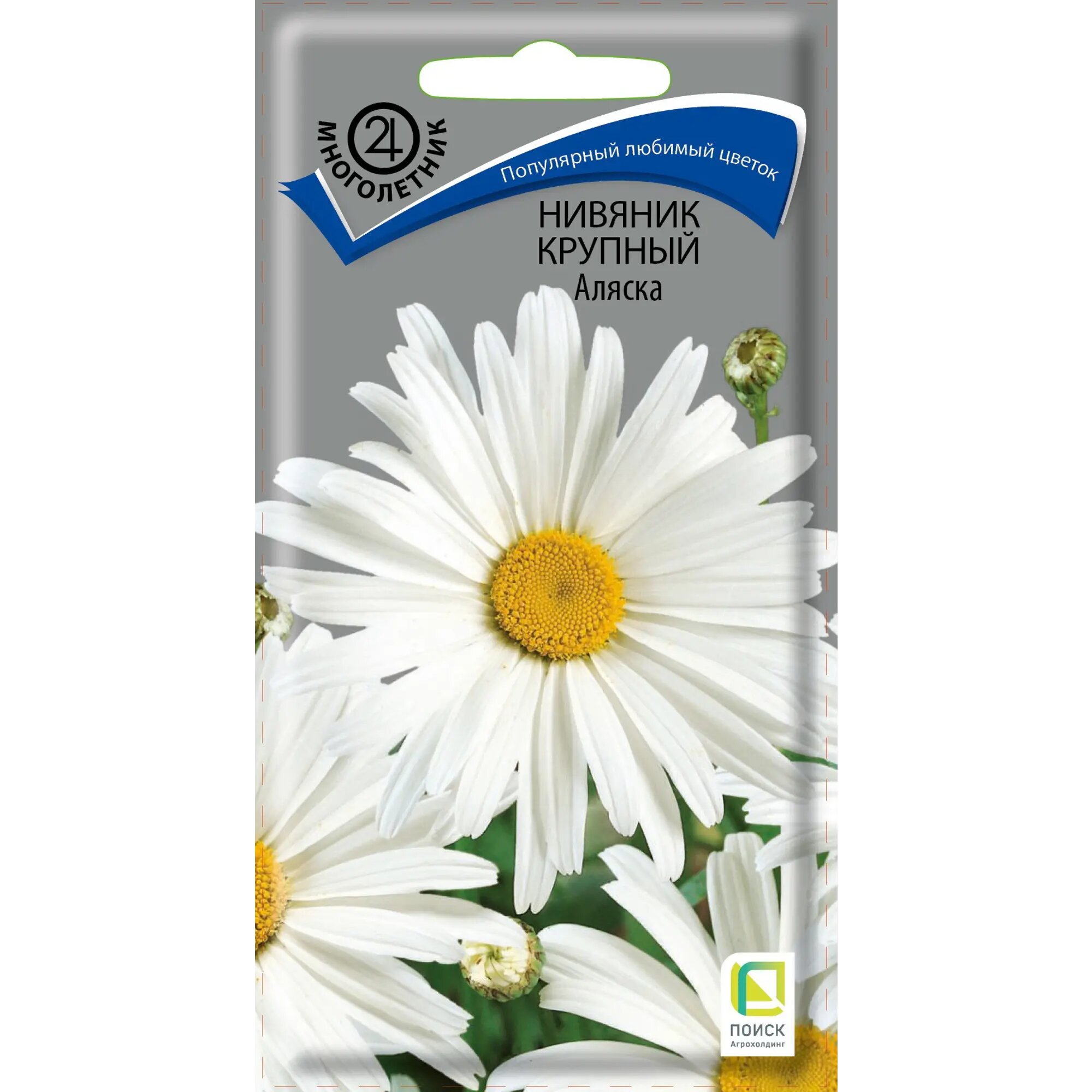 Семена нивяника крупного Аляска - белый крупный цветок для бордюра клумбы и садов