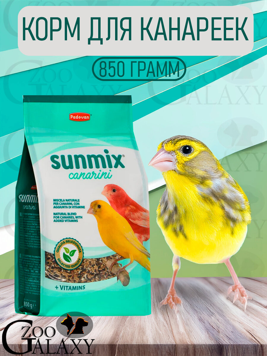 PADOVAN Sunmix корм комплексный для канареек, основной 850г