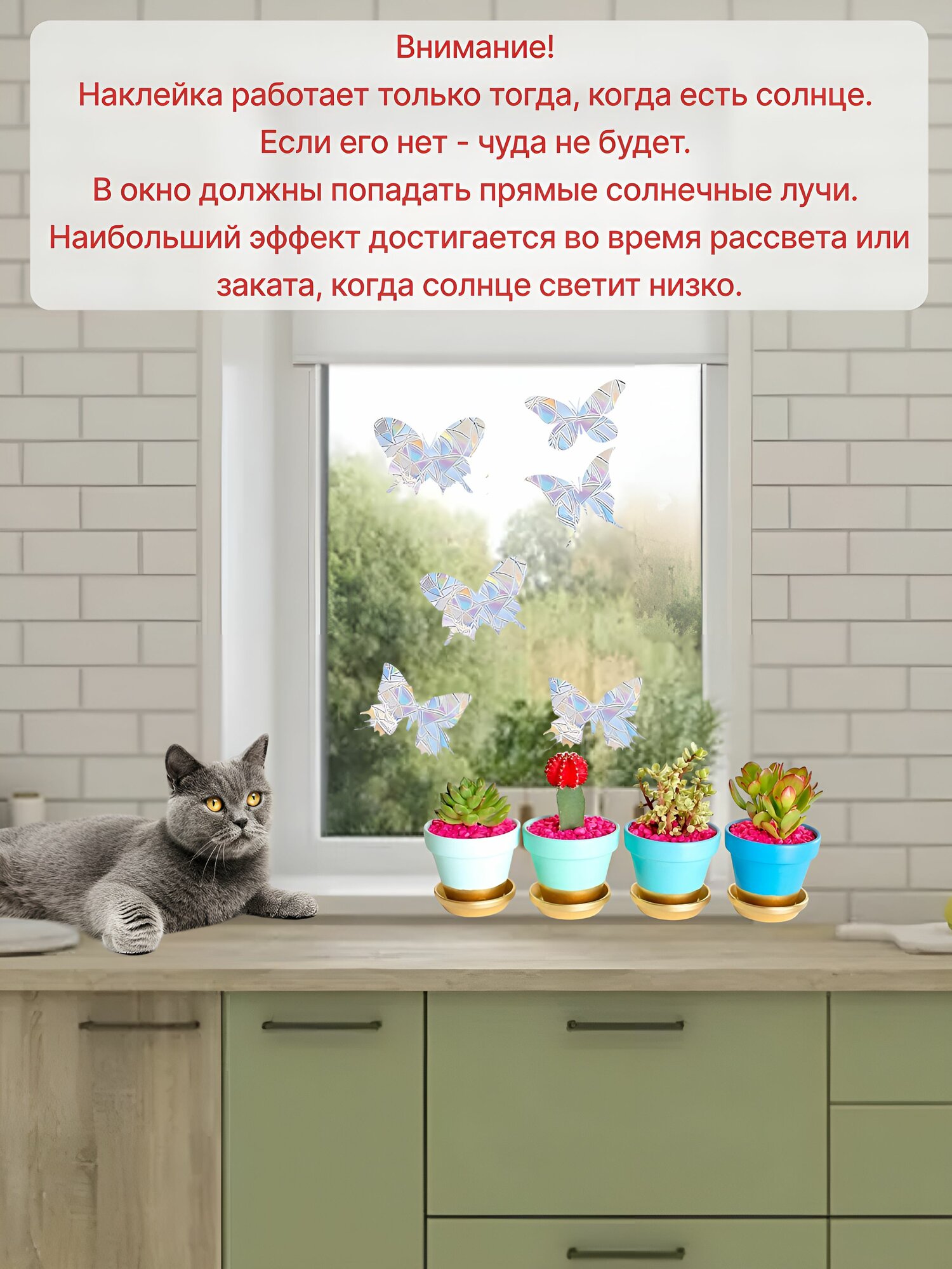 Наклейка интерьерная — фото 1