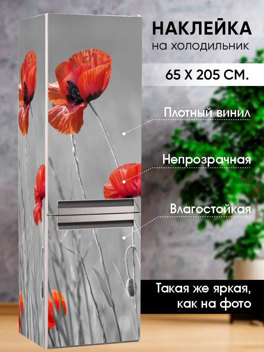Наклейка интерьерная на холодильник, на мебель, 65 х 205 см.
