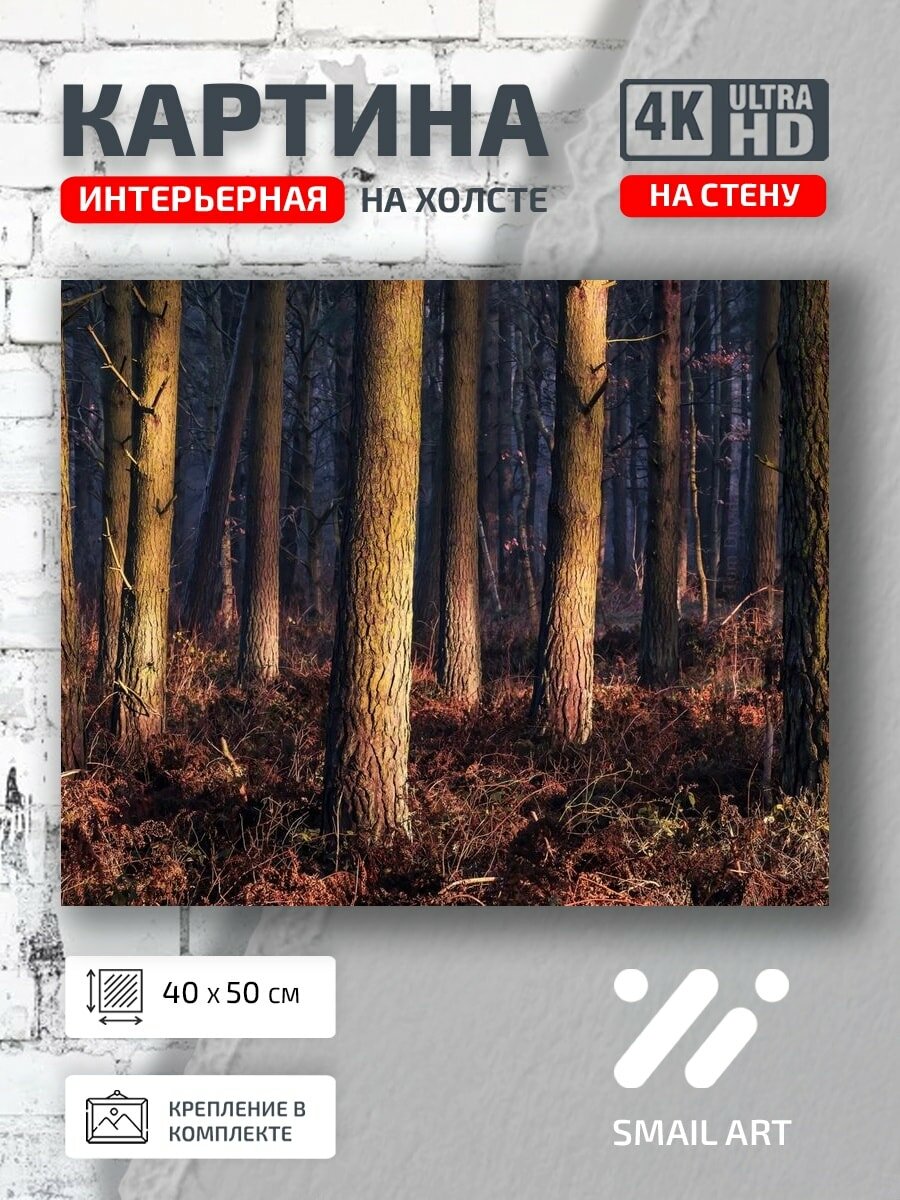 Картина на холсте интерьерная 40 на 50 на стену Природа Лес для офиса пейзаж