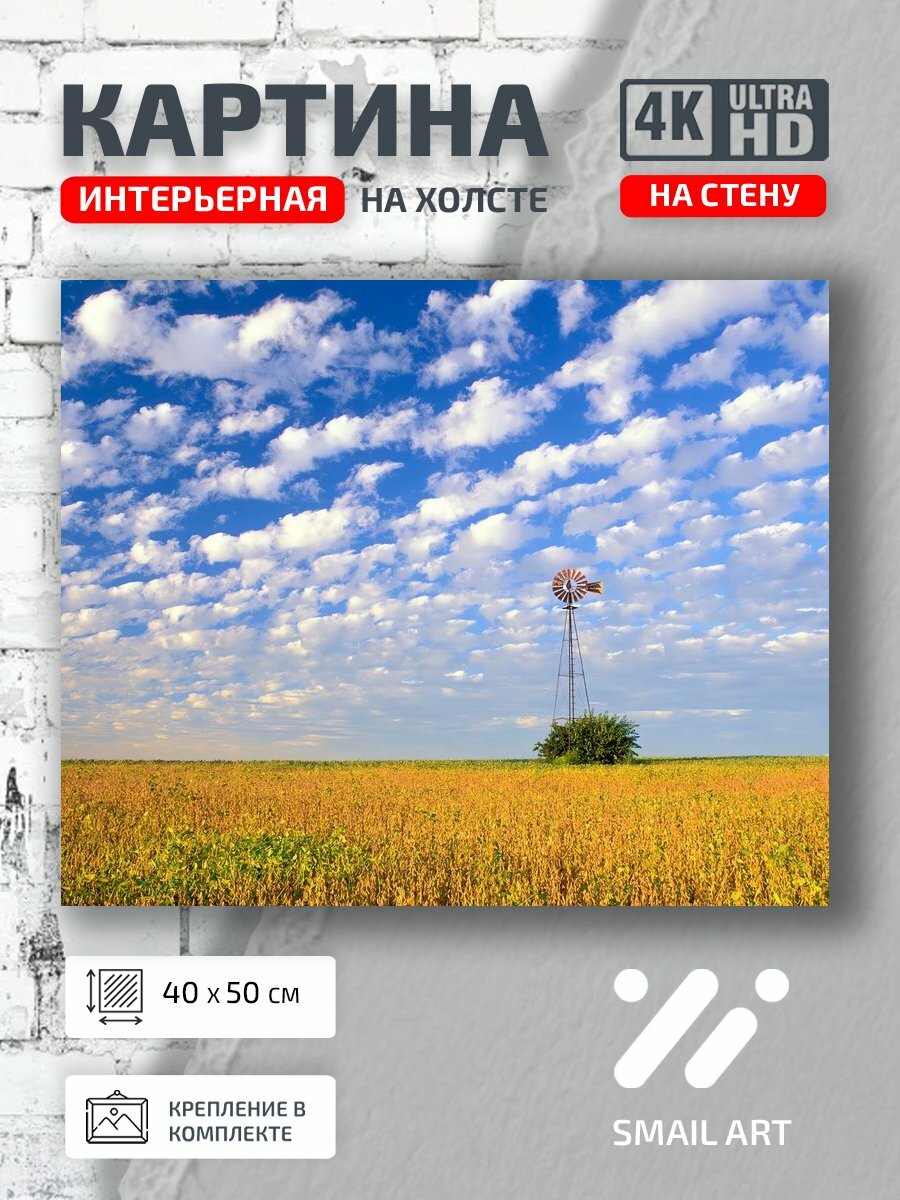Картина на холсте интерьерная 40 на 50 на стену Мельницы Illinois для кафе урбанистика